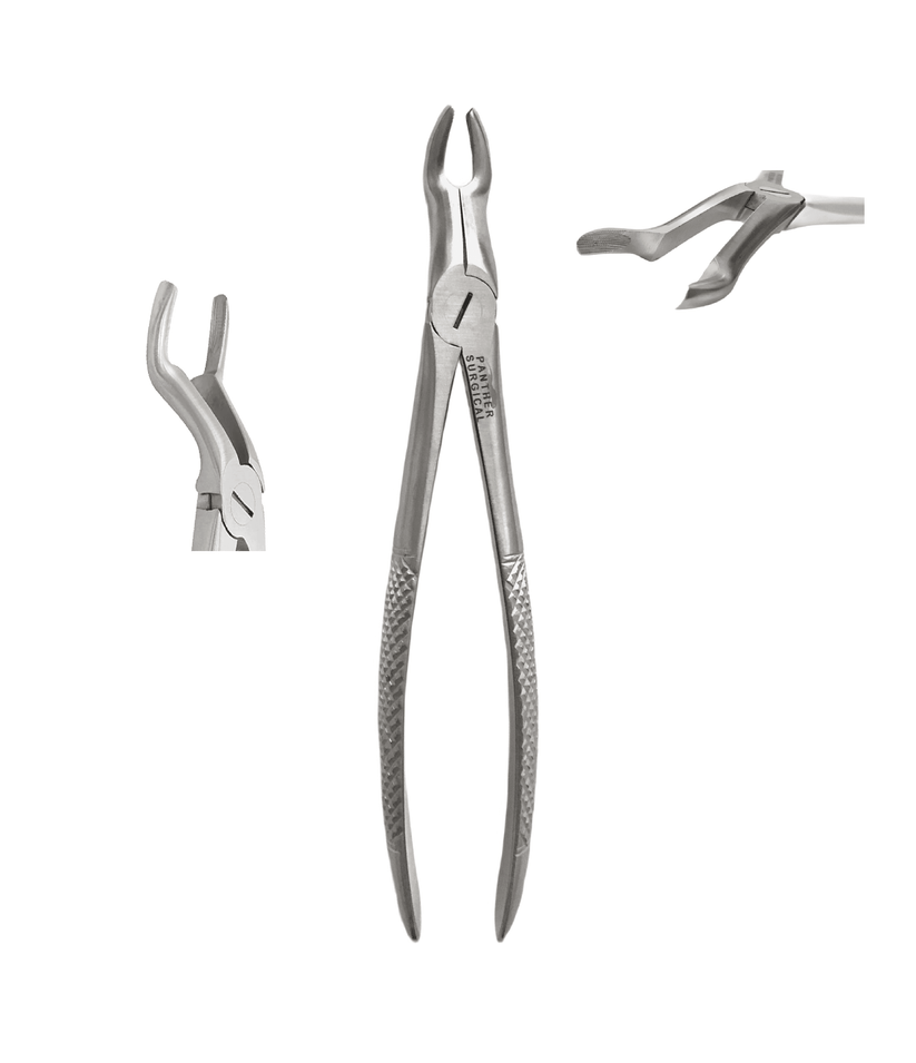 Stainless Steel Dental Forceps - Tooth Extraction | Durable, Precision ...