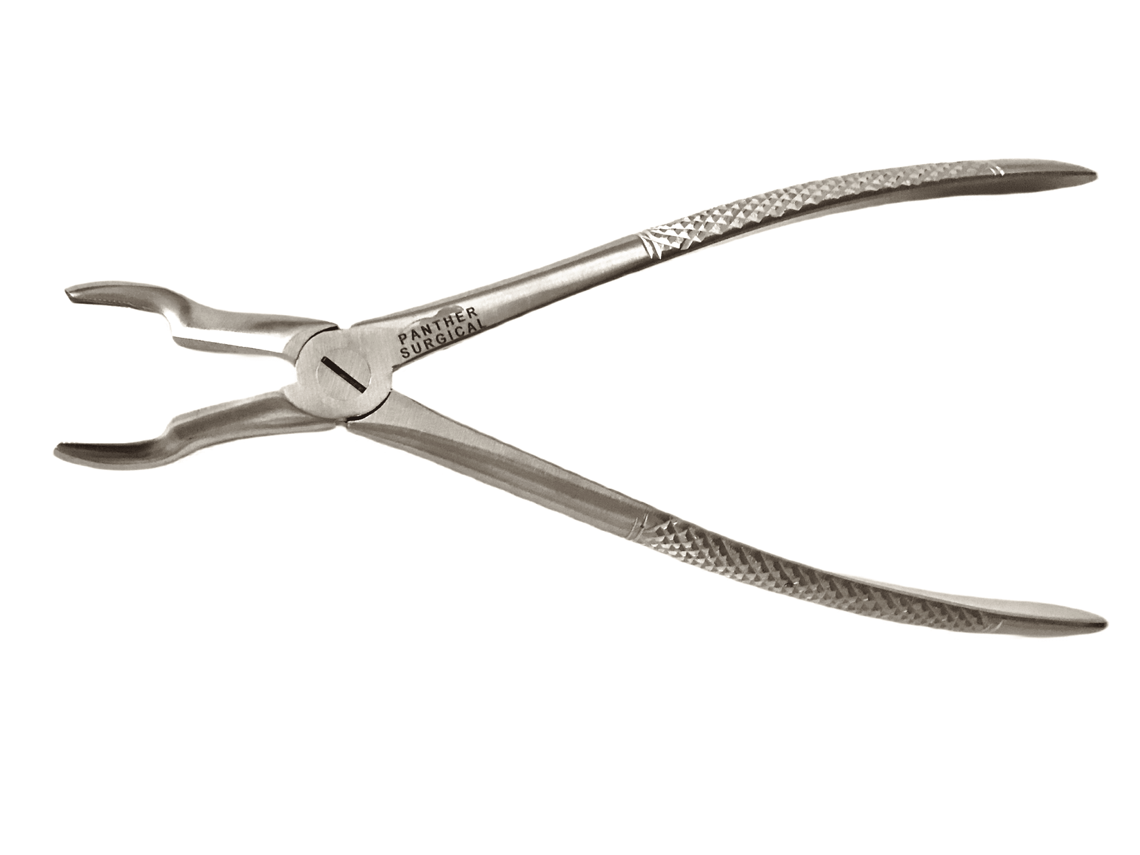 Stainless Steel Dental Forceps - Tooth Extraction | Durable, Precision ...
