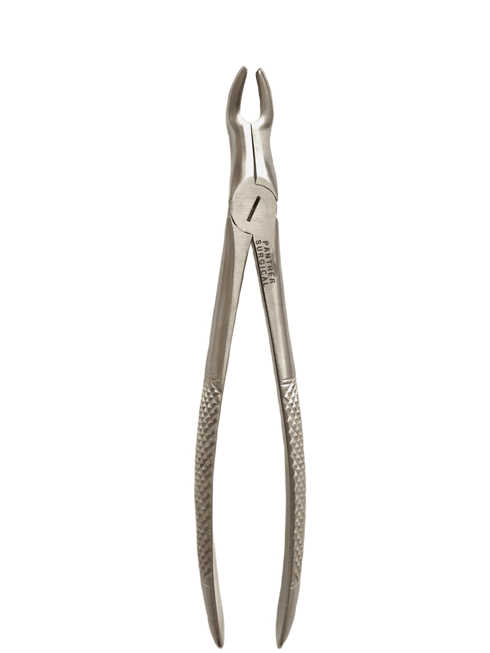 Stainless Steel Dental Forceps - Tooth Extraction | Durable, Precision ...