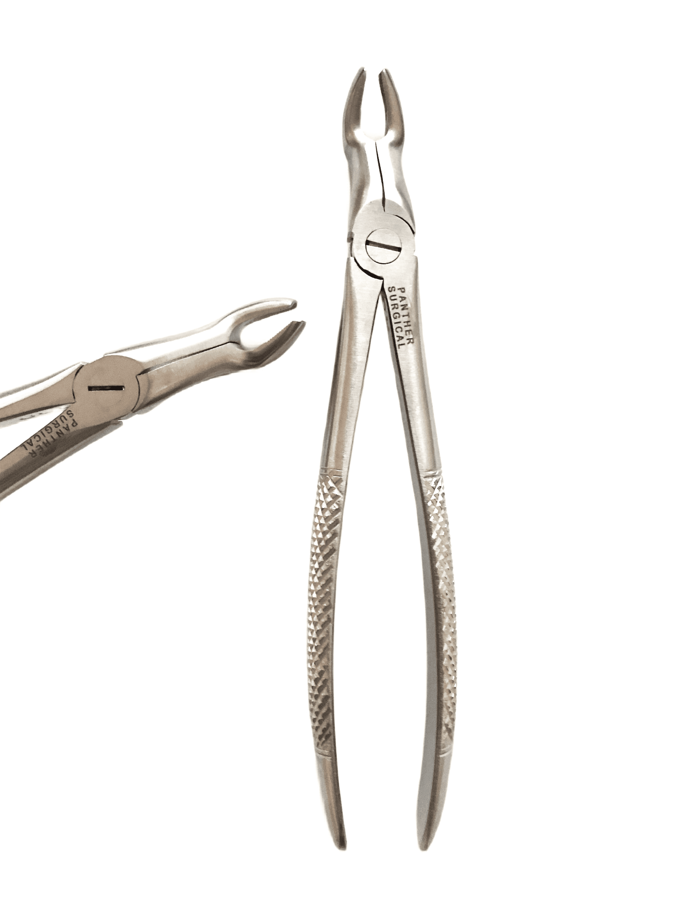 Stainless Steel Dental Forceps - Tooth Extraction | Durable, Precision ...